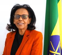 Board Members | National Election Board of Ethiopia
